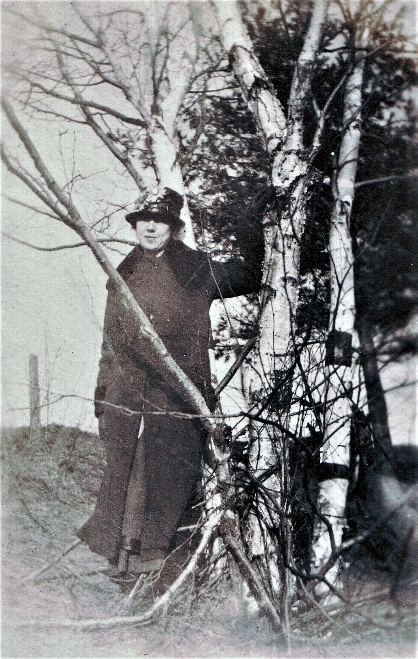 Sally’s Photos – Page #08 – Trees and Friends and Friends in Trees ...