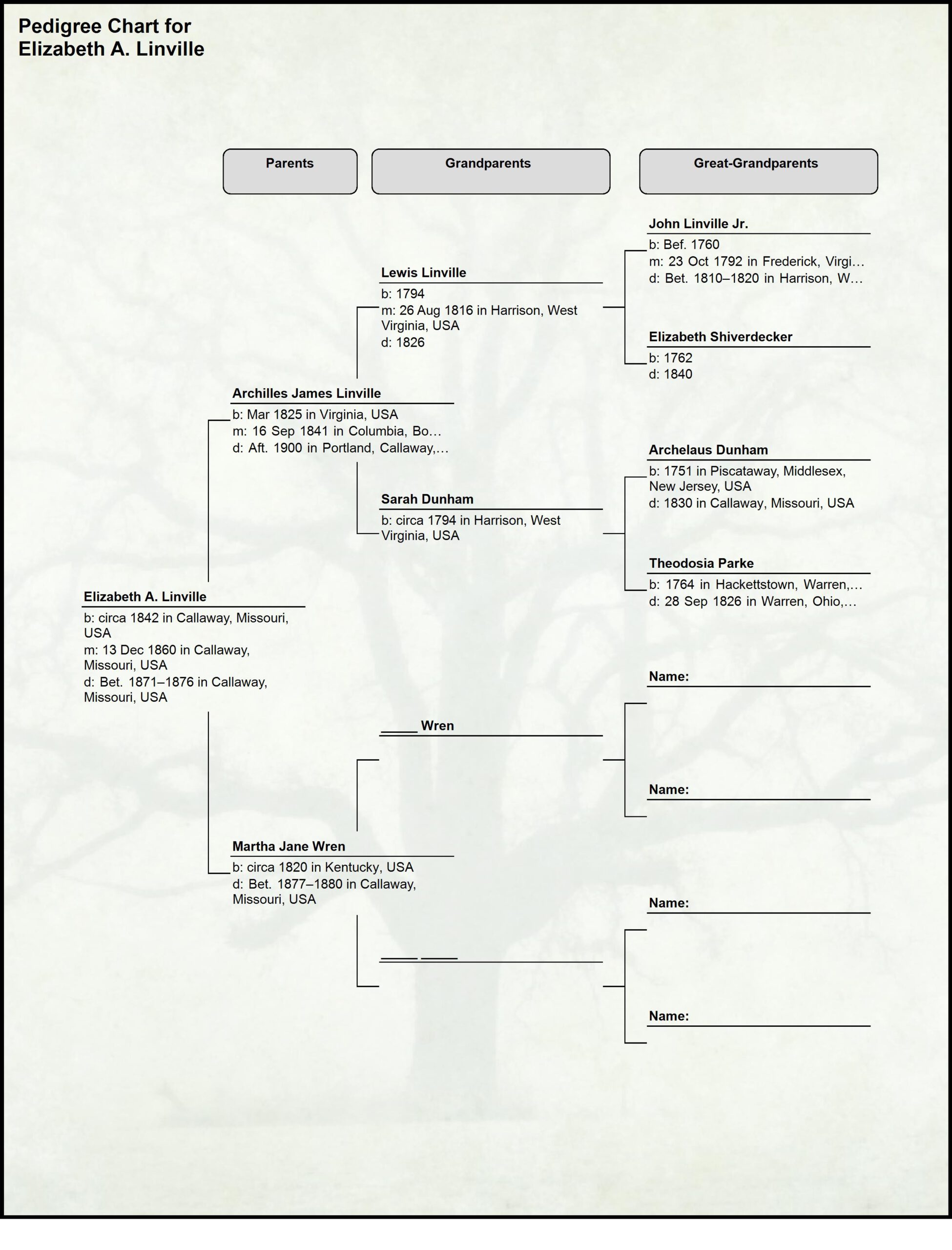 Elizabeth Linville - Spirits and Spirits